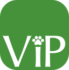 VIP Cat & Kitten Healthcare Plans | Kitten to Cats Vets